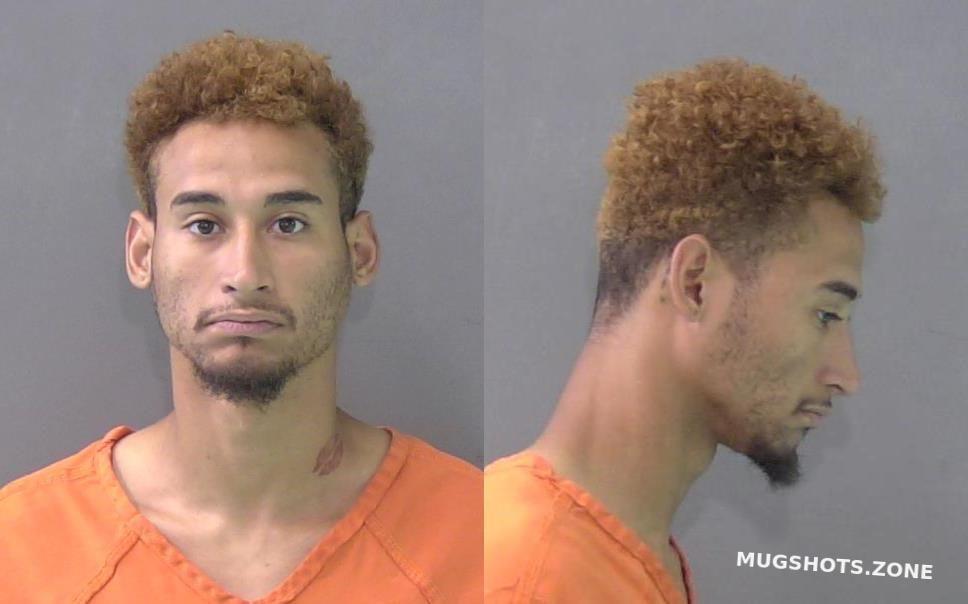 RODRIGUEZ MOISES 10/15/2024 - Bell County Mugshots Zone