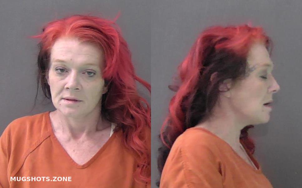 HANLON LEANNE NICOLE 12/10/2024 - Bell County Mugshots Zone