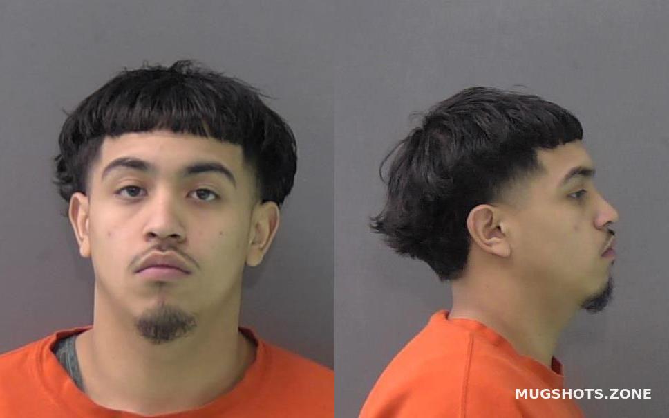 CASTILLO ELIJAH 01/20/2025 - Bell County Mugshots Zone