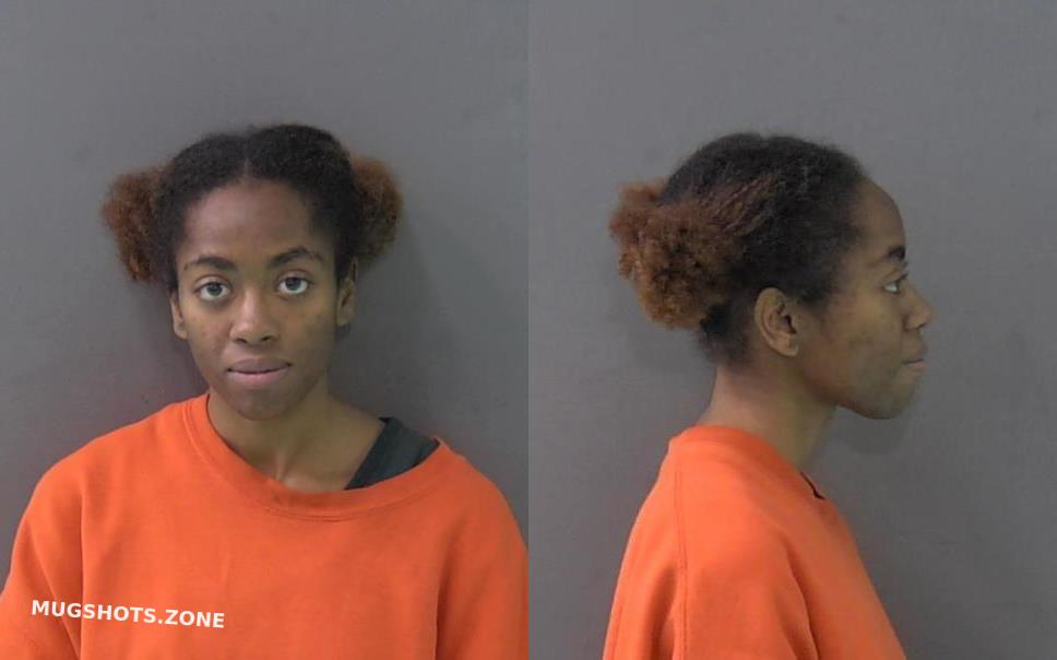 SCOTT SAVION 02/10/2025 - Bell County Mugshots Zone