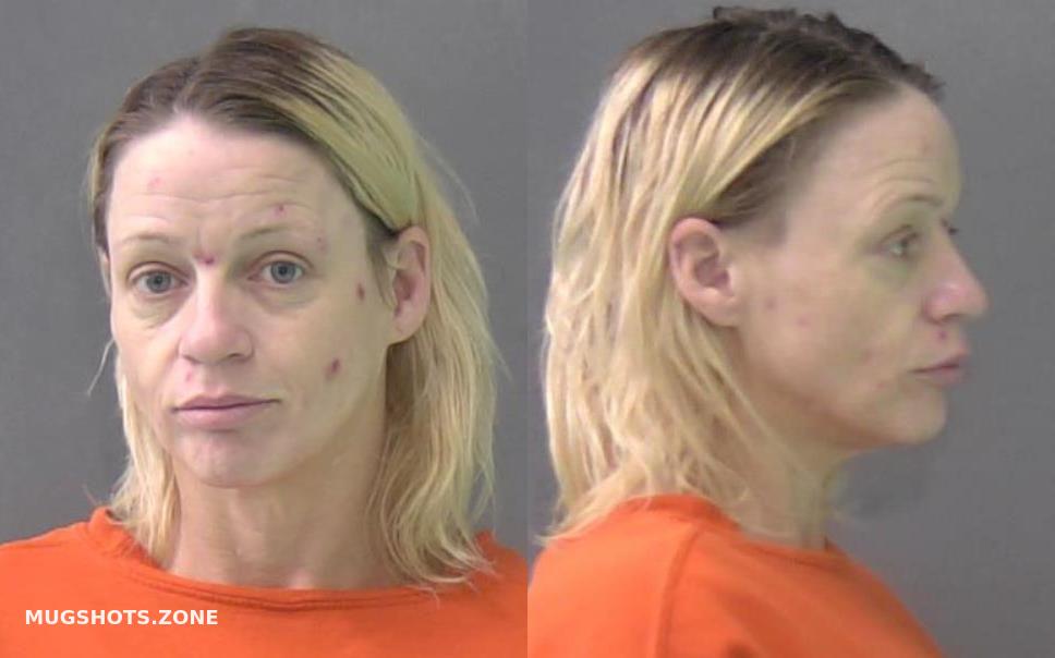 MELENDEZ HOWELL LORI MICHELLE 03/08/2025 - Bell County Mugshots Zone