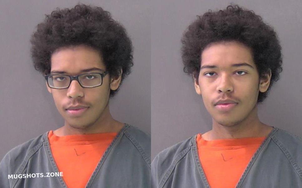 GIBSON KAYEN DESEAN 03/23/2025 - Bell County Mugshots Zone