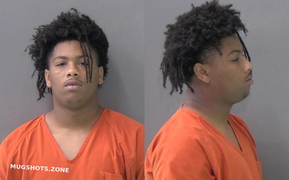 LEE FAYLIN NATHANIEL 03/27/2025 - Bell County Mugshots Zone