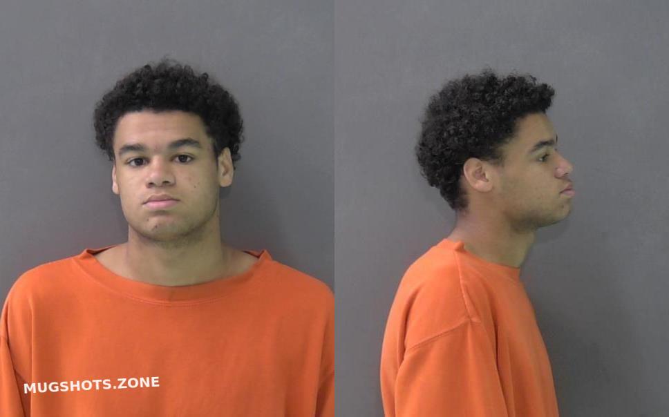 WHITE BOBBY 03/29/2025 - Bell County Mugshots Zone