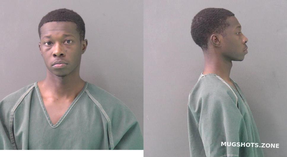 RAY LAVESTER JAMES JUNIOR 05/03/2025 - Bell County Mugshots Zone