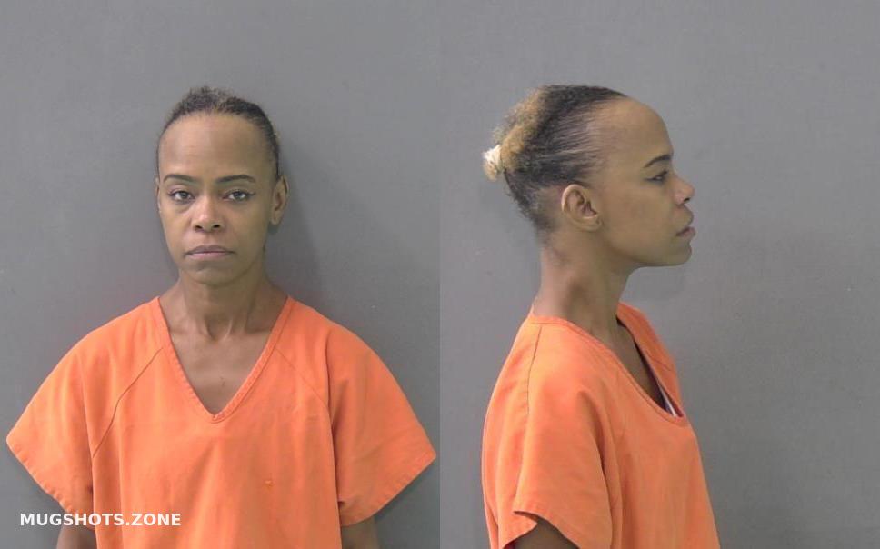 DUNCAN DESA LANAIR 05/19/2025 - Bell County Mugshots Zone