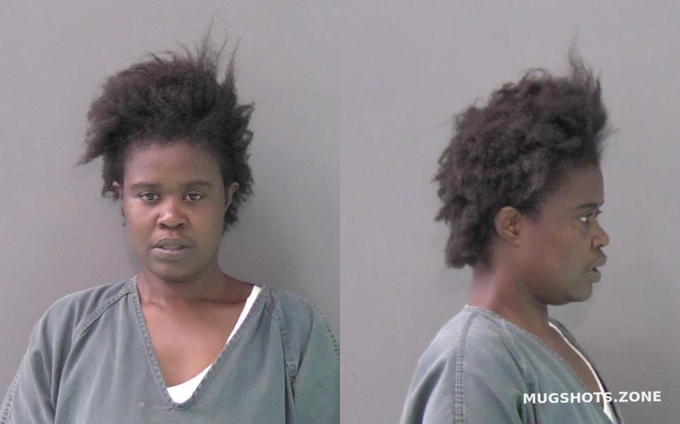 JOHNSON KAPPA CHAMBREA 06/14/2025 - Bell County Mugshots Zone