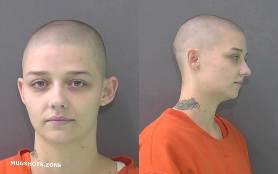 HUDDLESTON ELIZABETH KAY 07/01/2025 - Bell County Mugshots Zone