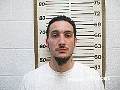 YOUNG TRAVIS STEPHEN 03/30/2021 - Belmont County Mugshots Zone