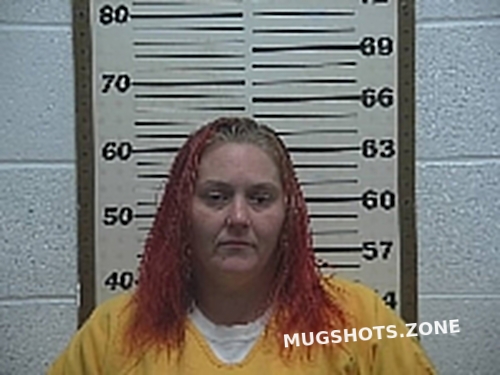 WILLIAMSON JESSICA RAE 11/19/2021 - Belmont County Mugshots Zone