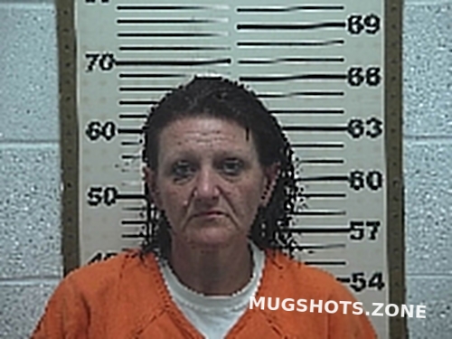 BAKER JESSICA VIRGINIA 07/02/2022 - Belmont County Mugshots Zone