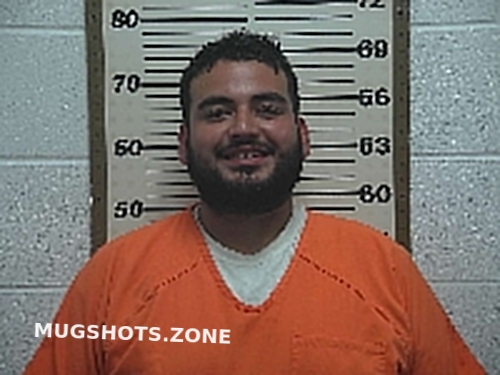 REYES ROBERT 08/21/2022 - Belmont County Mugshots Zone