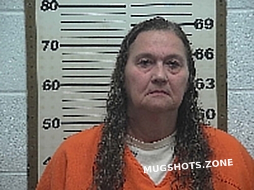 DAVIS RUTH ANN 11/15/2022 - Belmont County Mugshots Zone