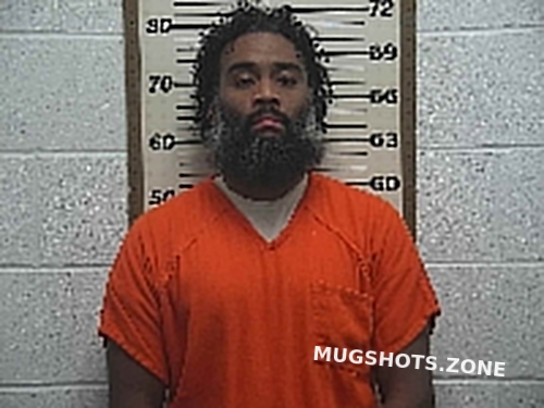 HOWARD SEAN MAURICE 11/17/2022 - Belmont County Mugshots Zone