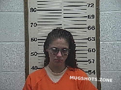 FLEMMING AMBER DAWN 08/03/2023 - Belmont County Mugshots Zone