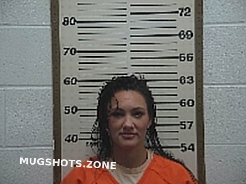 Henry Jessica Lynn 11 05 2023 Belmont County Mugshots Zone