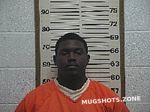 WILEY AHMAD 02/11/2024 - Belmont County Mugshots Zone