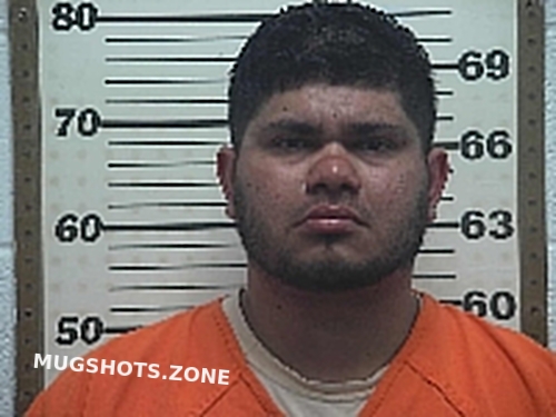 BONILLA-TURCIOS HENRY RONEY 04/29/2024 - Belmont County Mugshots Zone