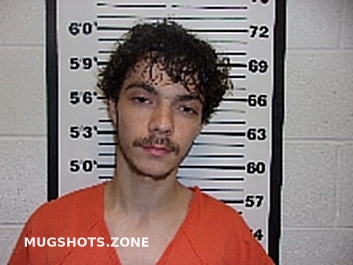 DALESSIO DANTE MATTHEW 06/21/2024 - Belmont County Mugshots Zone