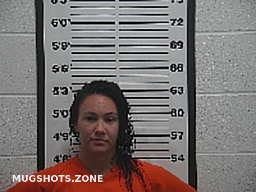 HENRY JESSICA LYNN 06/27/2024 - Belmont County Mugshots Zone