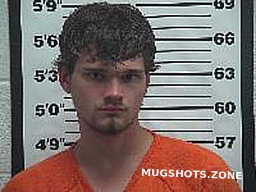 DAVIS DAMIEN EDWARD ANDRE 08/07/2024 - Belmont County Mugshots Zone