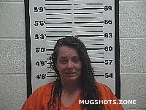 THOMPSON BETH ANN 08/13/2024 - Belmont County Mugshots Zone
