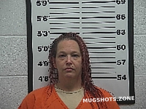 DUERR ALICIA DAWN 08/20/2024 - Belmont County Mugshots Zone