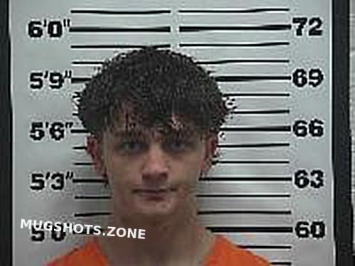 SWETZ LOGAN MICHAEL 09/26/2024 - Belmont County Mugshots Zone