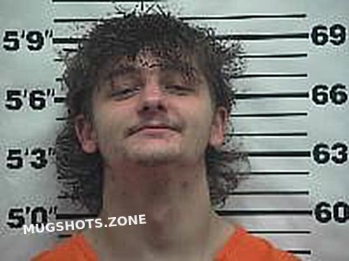 SWETZ LOGAN MICHAEL 12/16/2024 - Belmont County Mugshots Zone