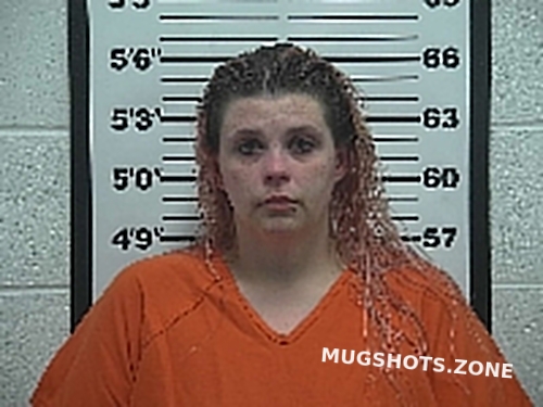 CROSS JESSICA NICOLE 03/12/2025 - Belmont County Mugshots Zone