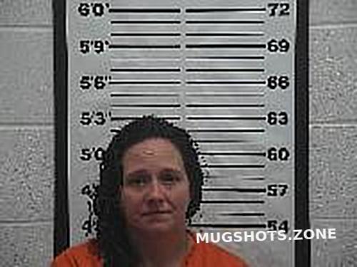 SECHREST ANNA ELIZABETH 03/27/2025 - Belmont County Mugshots Zone