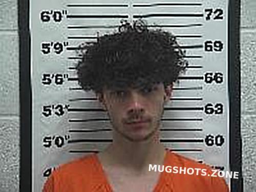 D'ALESSIO DANTE MATTHEW 04/16/2025 - Belmont County Mugshots Zone
