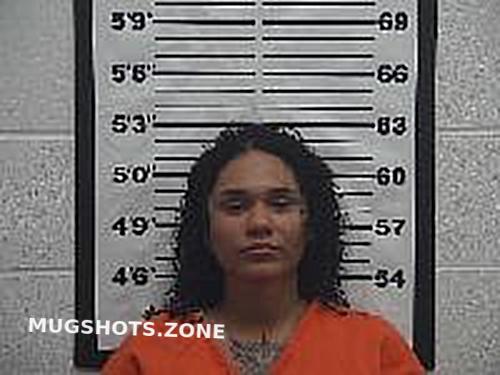 LEANIEZ TAYLOR RENEA 05/05/2025 - Belmont County Mugshots Zone