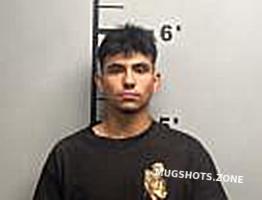ROGEL VICTOR 06/02/2024 - Benton County Mugshots Zone