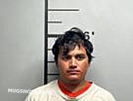 STEELE MICHAEL JOSE 10/26/2024 - Benton County Mugshots Zone