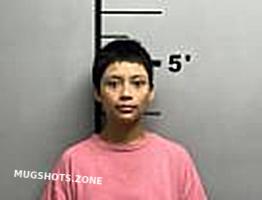 BENAVIDES LESLIE PATRICIA 11/17/2024 - Benton County Mugshots Zone