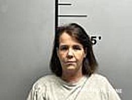 MESSNER TRACY JEAN 11/19/2024 - Benton County Mugshots Zone