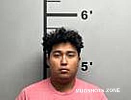 RAMIREZ BRYAN 01/02/2025 - Benton County Mugshots Zone