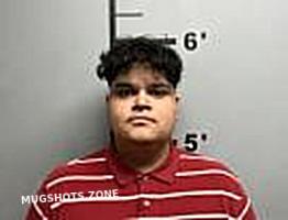 SALAS BATRES GERARDO 02/25/2025 - Benton County Mugshots Zone
