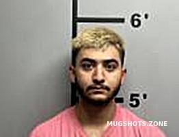 BENZ DYLAN MARTIN 03/18/2025 - Benton County Mugshots Zone