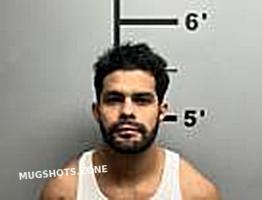 RIVERO-ESCALONA ANTHONY DANIEL 03/20/2025 - Benton County Mugshots Zone