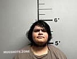 SALAS BATRES GERARDO 11/04/2025 - Benton County Mugshots Zone