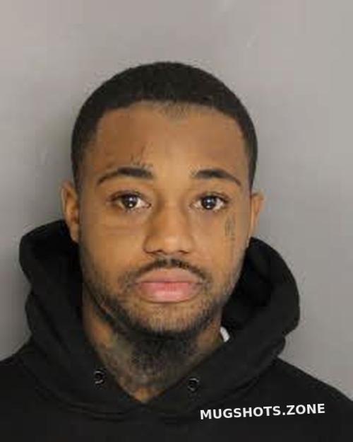 MULLIGAN DWAYNE TRAVIS 01/28/2021 - Berkeley County Mugshots Zone