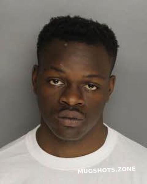 WILSON NATHAN TREVON 03/22/2021 - Berkeley County Mugshots Zone