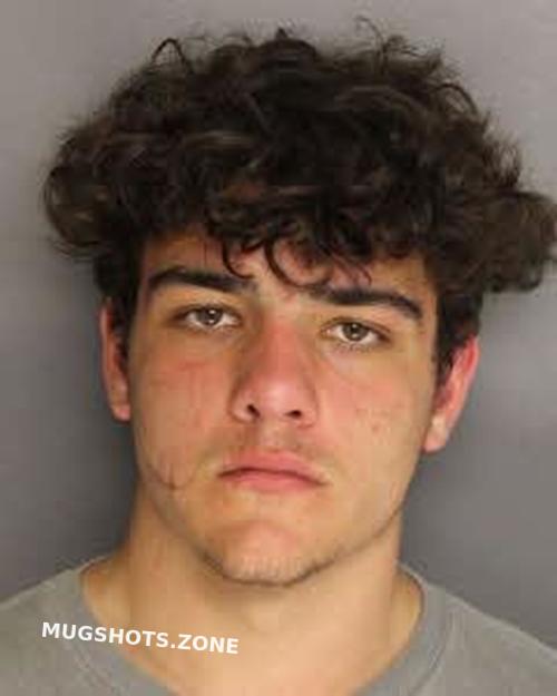 SMITH ALAN LANE 04/21/2021 - Berkeley County Mugshots Zone