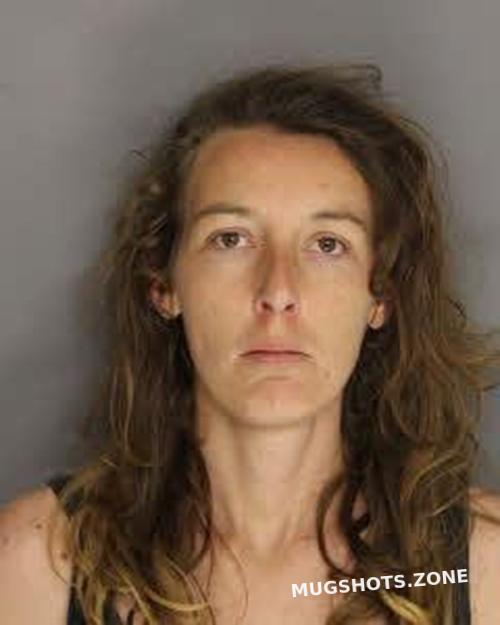 Lane Cynthia Ann 05 13 2021 Berkeley County Mugshots Zone