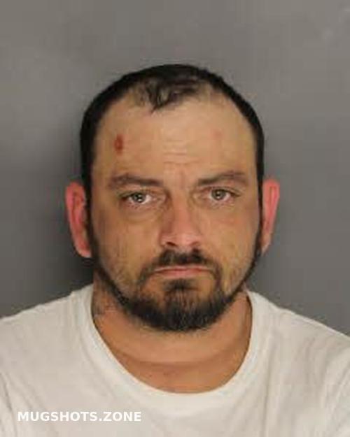 DOWNS TRAVIS RYAN 05/15/2021 - Berkeley County Mugshots Zone