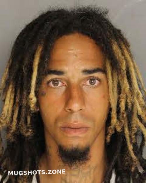 NELSON JAVON THOMAS 06/05/2021 - Berkeley County Mugshots Zone
