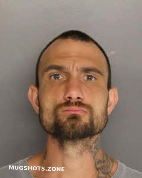 FARMER KALEB JAMES 06/13/2021 - Berkeley County Mugshots Zone