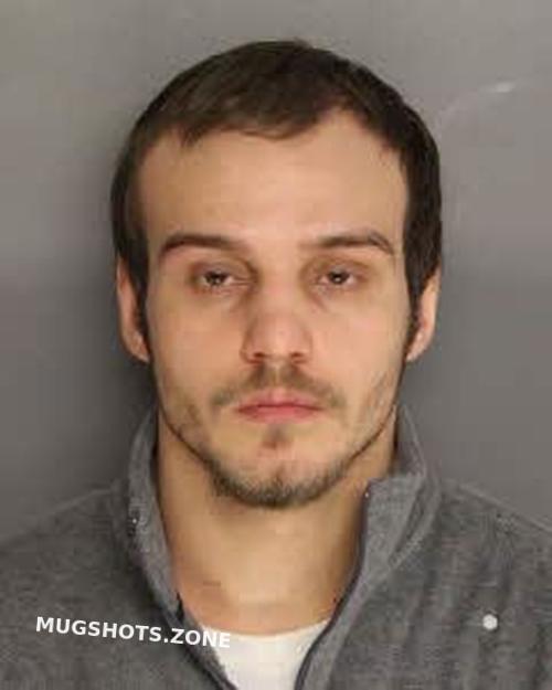 MIZZELL BRANDON TYLER 06/14/2021 - Berkeley County Mugshots Zone